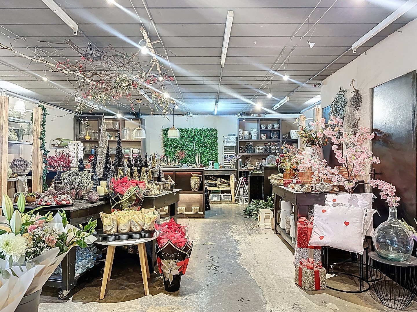 Unieke commerciële ruimte in de iconische molen “De Brak” – Sluis huren ...